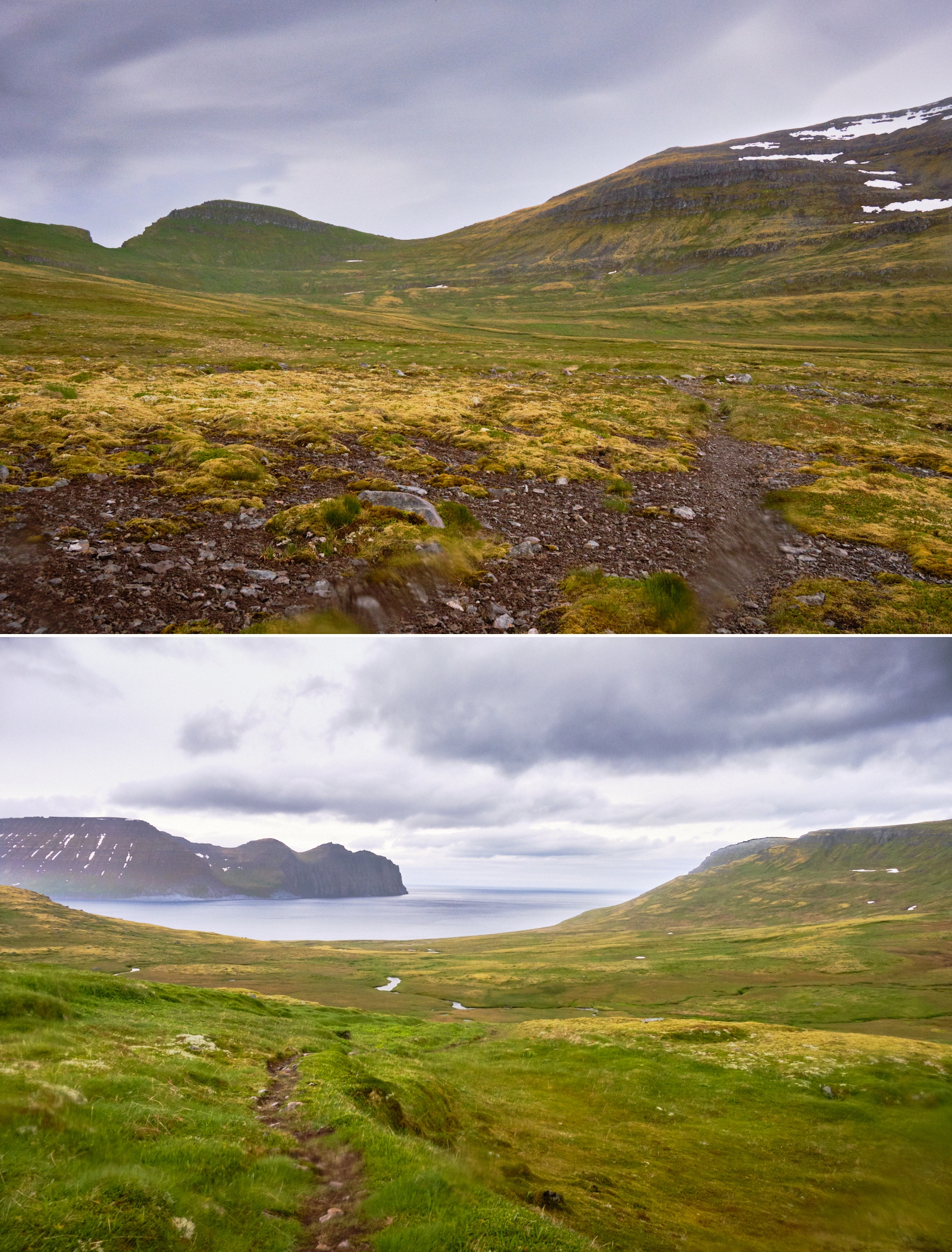 Trekking Iceland - Hornbjarg - Hornstrandir - Lisa Germany